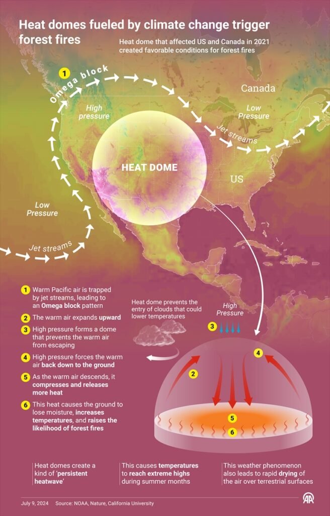 The effects of global warming: heat domes and forest fires - SDGTalking